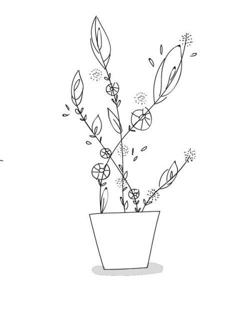 Casas Prefabricadas Alicante - Casas Modulares Studio HC